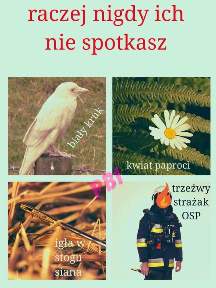 Strażacy i memy. Dlaczego ludzie szydzą, że OSP pije i podpala ...