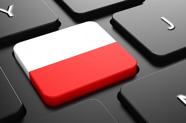 Powstaje polska wyszukiwarka internetowa. PAN prześcignie Google ...